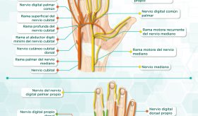 General | Medicina y Salud Pública