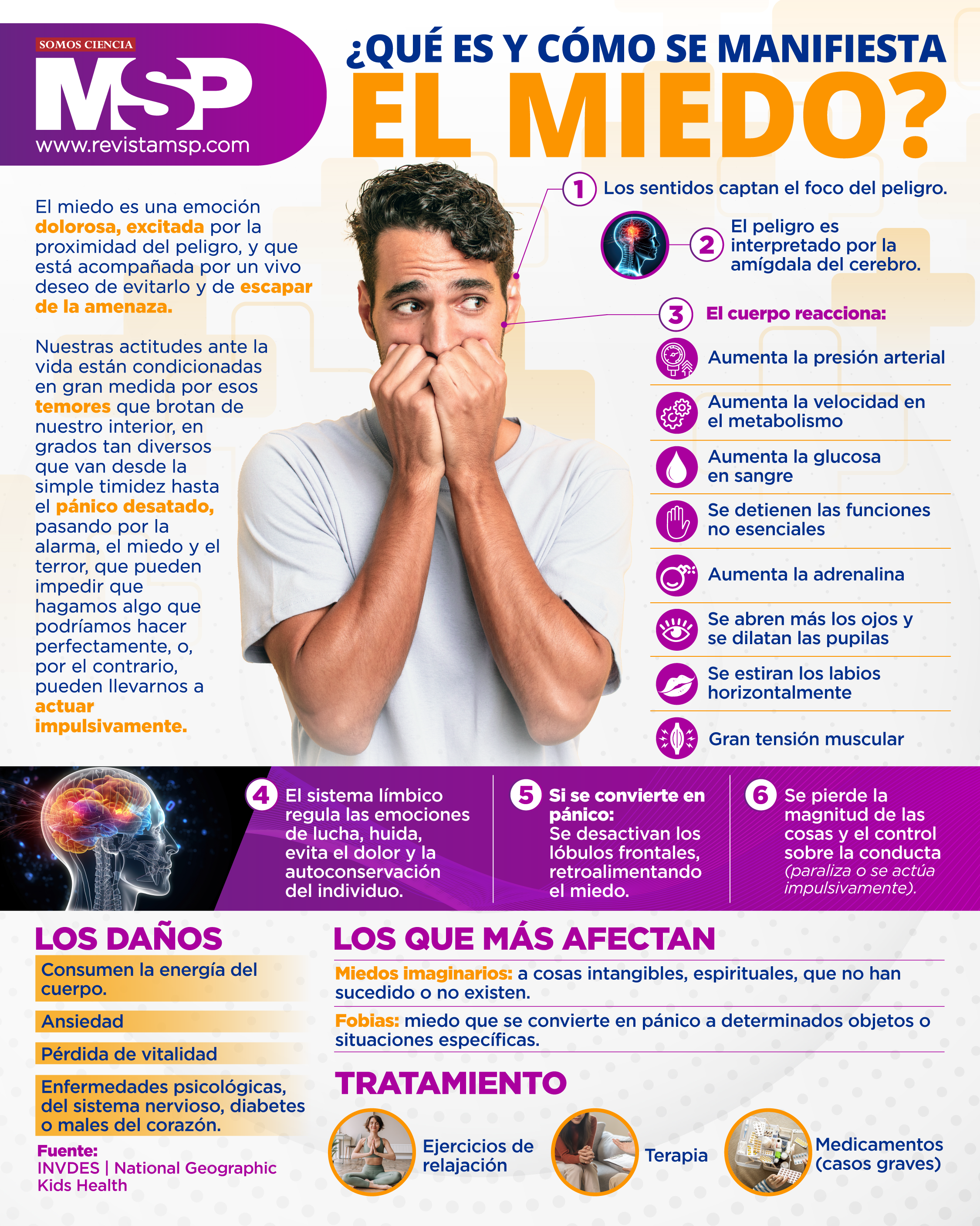 ¿Qué es y cómo se manifiesta el miedo?