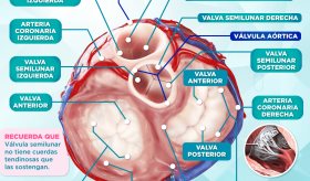 Patología forense en Puerto Rico: "Evaluamos los casos violentos ...