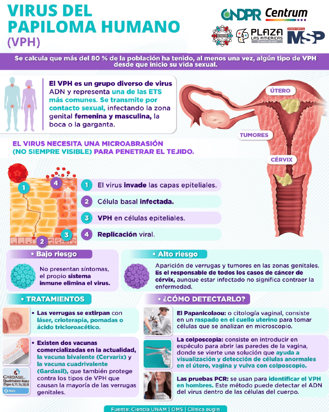 Virus Del Papiloma Humano