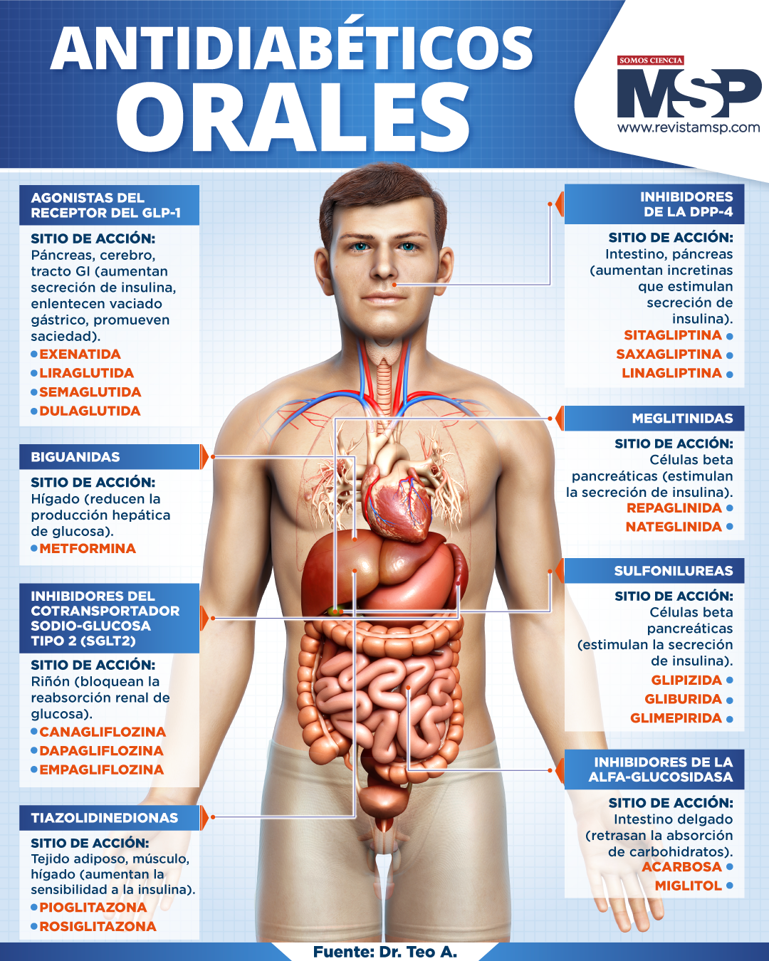 Antidiabéticos orales