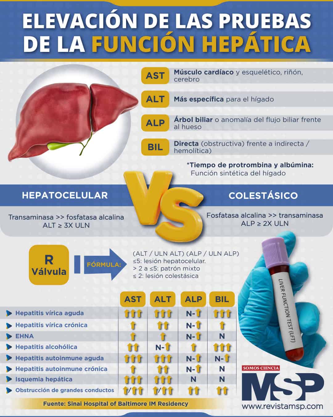 Elevación de las pruebas de la función hepática