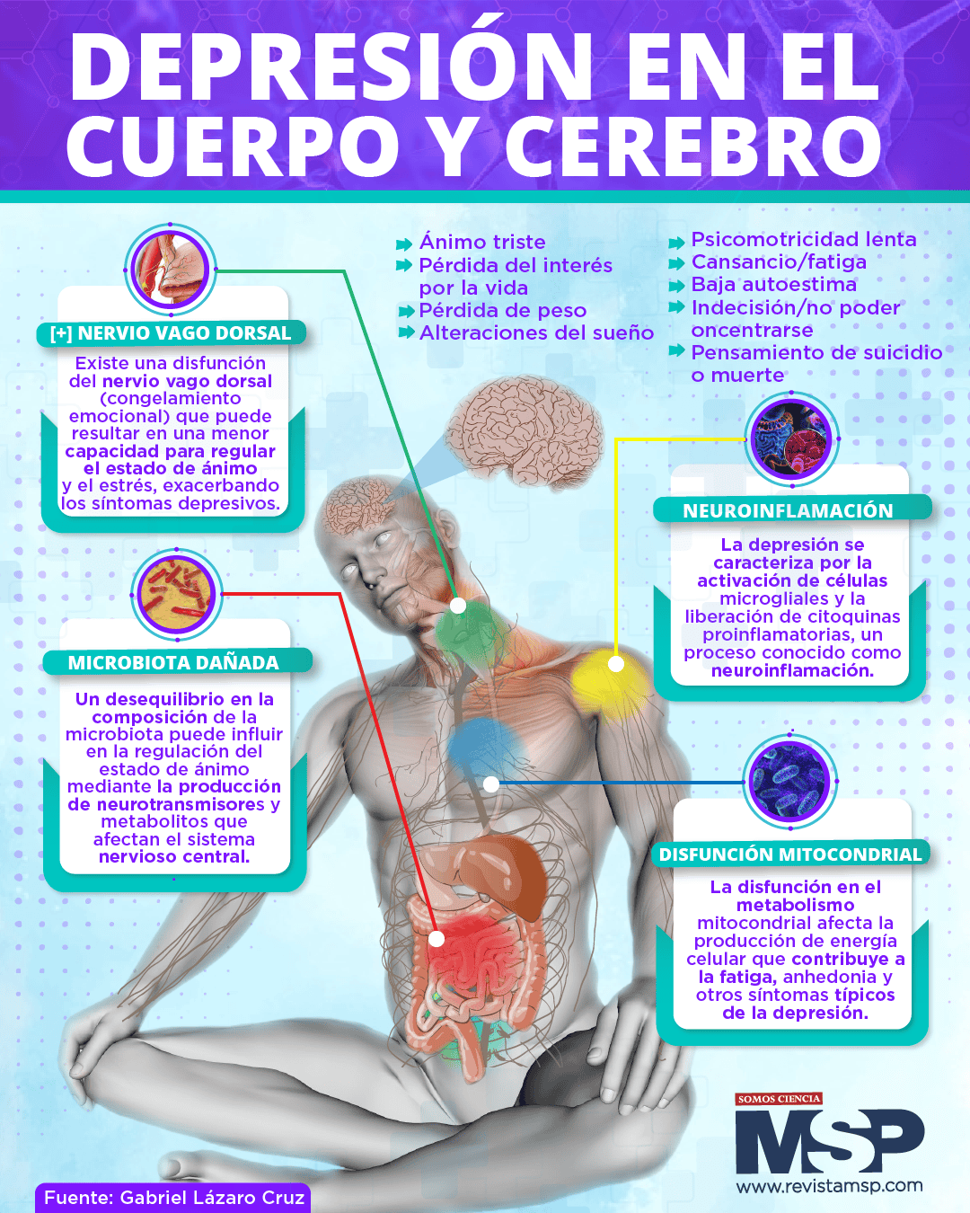 Depresión en el cuerpo y cerebro