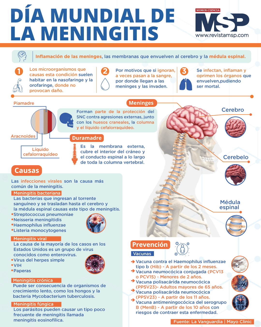 Día Mundial De L a Meningitis