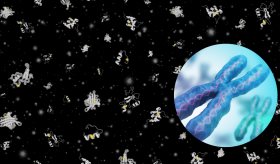 Designan al Dr. Regino Colón Alsina como director ejecutivo de ASEM por ...